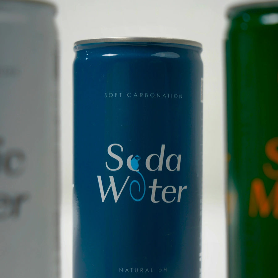 Sober Monkey | Original Soda Water | Natural pH | 250ml